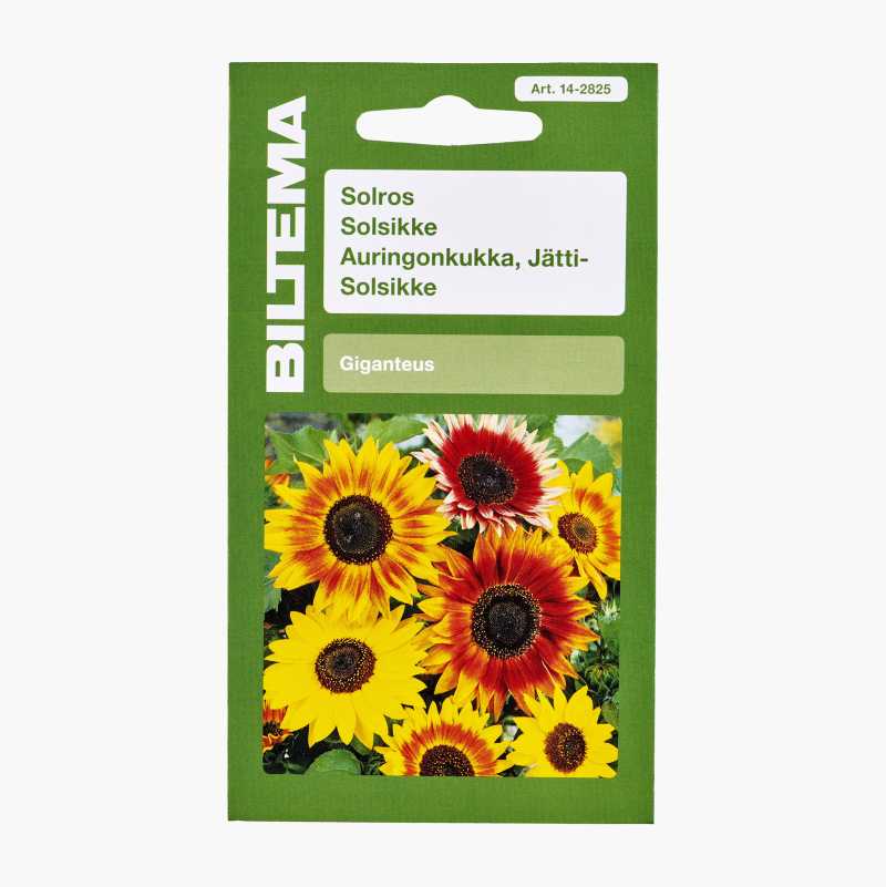 Sunflower - Biltema.se